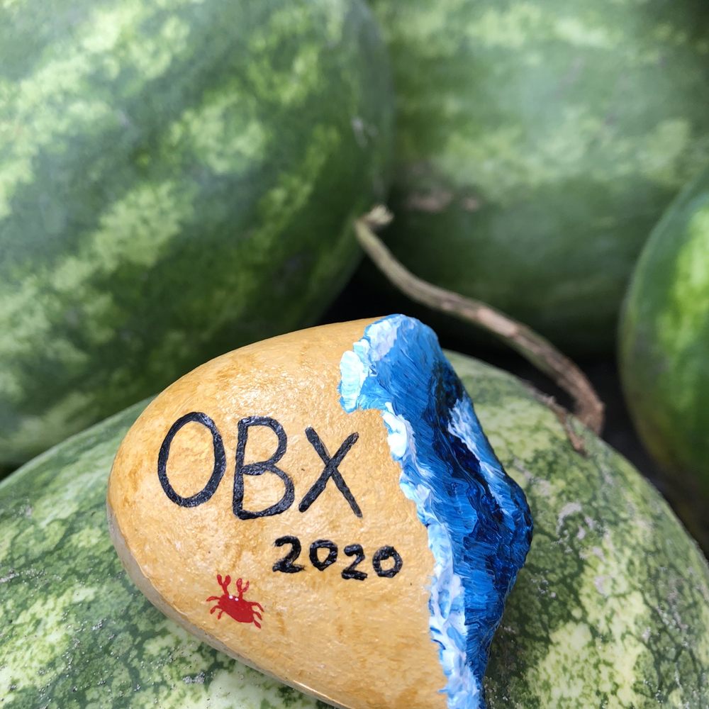 Blue Watermelon Moonmelon