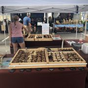 STUART GREEN MARKET - 28 Photos - Farmers Market - 121 SW Flagler Ave ...