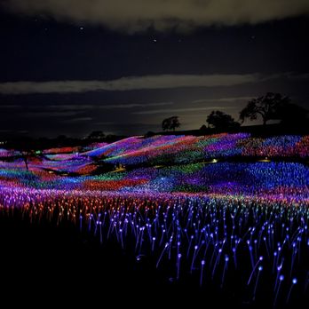 SENSORIO - Updated May 2025 - 2935 Photos & 597 Reviews - 4380 Hwy 46 E ...