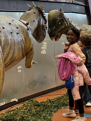 IMAGINON - THE JOE AND JOAN MARTIN CENTER - Updated December 2025 - 145 ...