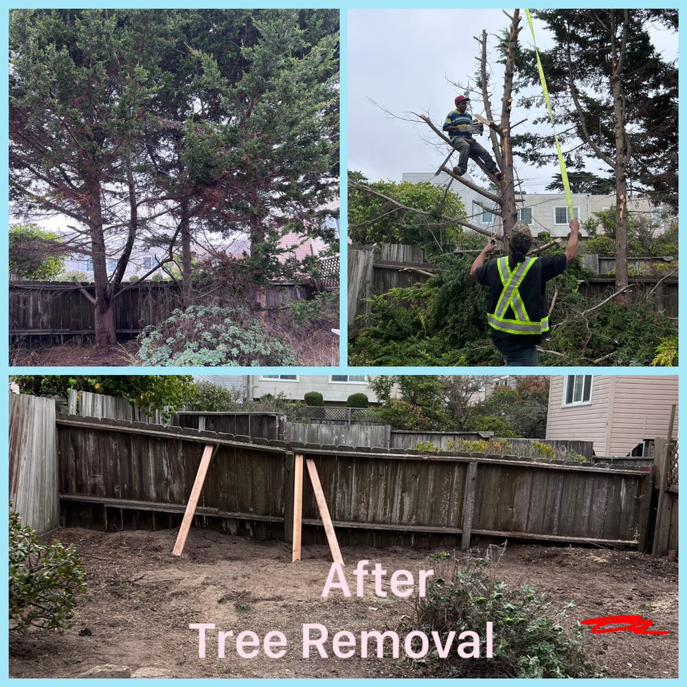 GOOD DEAL CLEAN-UP & TREE SERVICES - Updated October 2025 - 107 Photos ...