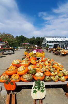 SECOR FARMS - Updated January 2026 - 265 Photos & 86 Reviews - 168 ...