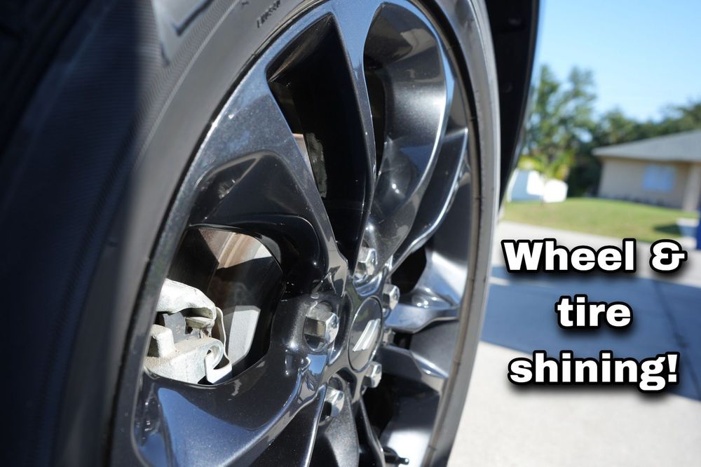 ANYTHING IS PAWSIBLE - Updated May 2025 - Request a Quote - 226 Photos - 12557 New Brittany Blvd ...