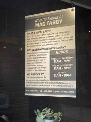 MAC TABBY CAT CAFE - Updated February 2025 - 22 Photos - 103 S Main ...