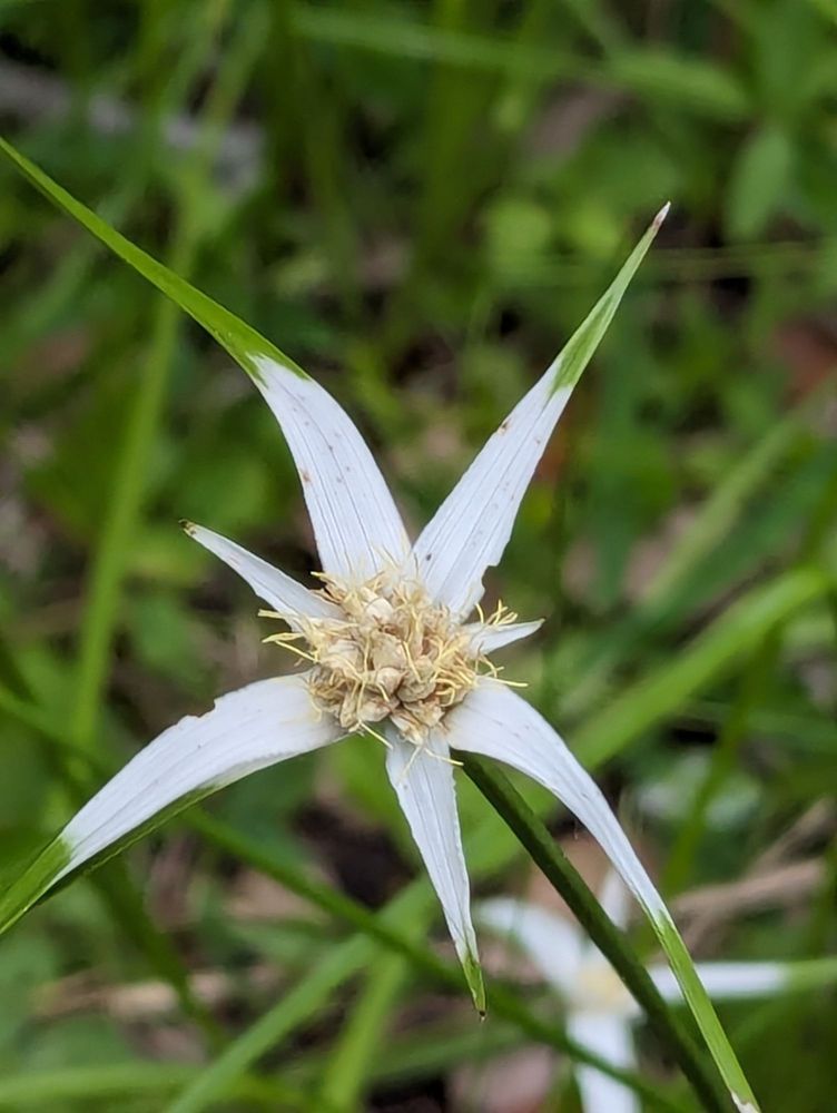 TULE MARSH EAST - Updated October 2025 - 18 Photos - 2010 Tule Park Dr ...