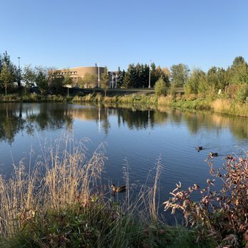 CUDDY FAMILY MIDTOWN PARK - Updated October 2025 - 138 Photos - 201 E ...