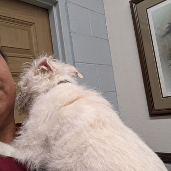 AVOCADO ANIMAL HOSPITAL OF FALLBROOK - Updated May 2025 - 35 Photos ...