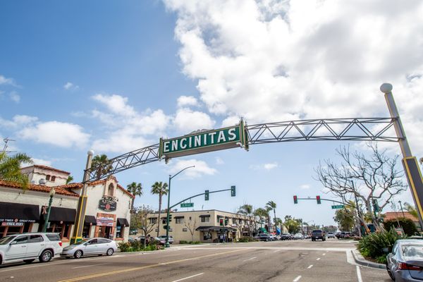 WALK THE CITY - Updated January 2025 - 20 Photos - 1345 Encinitas Blvd ...