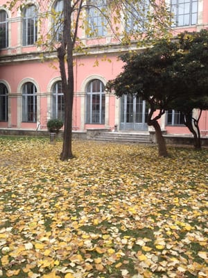 İTÜ TAŞKIŞLA KAMPUSÜ - 13 Photos - Taskisla Cad., İstanbul, Turkey ...