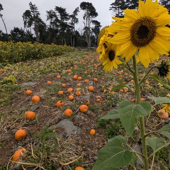 CRYSTAL BAY FARM - Updated December 2025 - 163 Photos & 78 Reviews - 40 ...