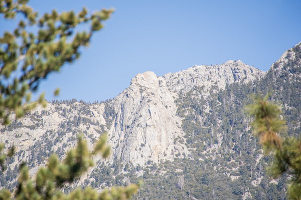 IDYLLWILD NATURE CENTER - 226 Photos & 51 Reviews - Hiking - 25225 Hwy ...
