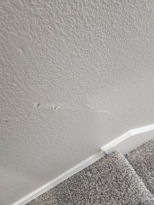 AZUMA LEASING - Updated October 2025 - 13 Photos & 52 Reviews - 2905 ...