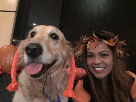 BAY PAWS PET RESORT - Updated October 2025 - 47 Photos & 66 Reviews ...