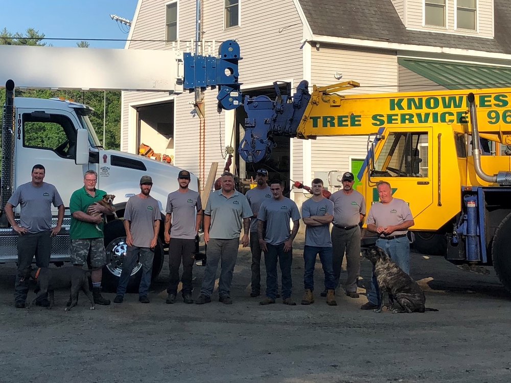KNOWLES TREE SERVICE - 33 Photos & 12 Reviews - 8 Birch Rd, North ...