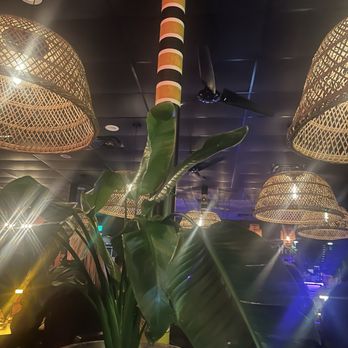 ADDIS NOLA - Updated January 2025 - 472 Photos & 278 Reviews - 2514 ...