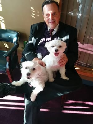 LAW OFFICE OF JOHN LEE DIAZ - Updated November 2025 - 801 Tremont St ...