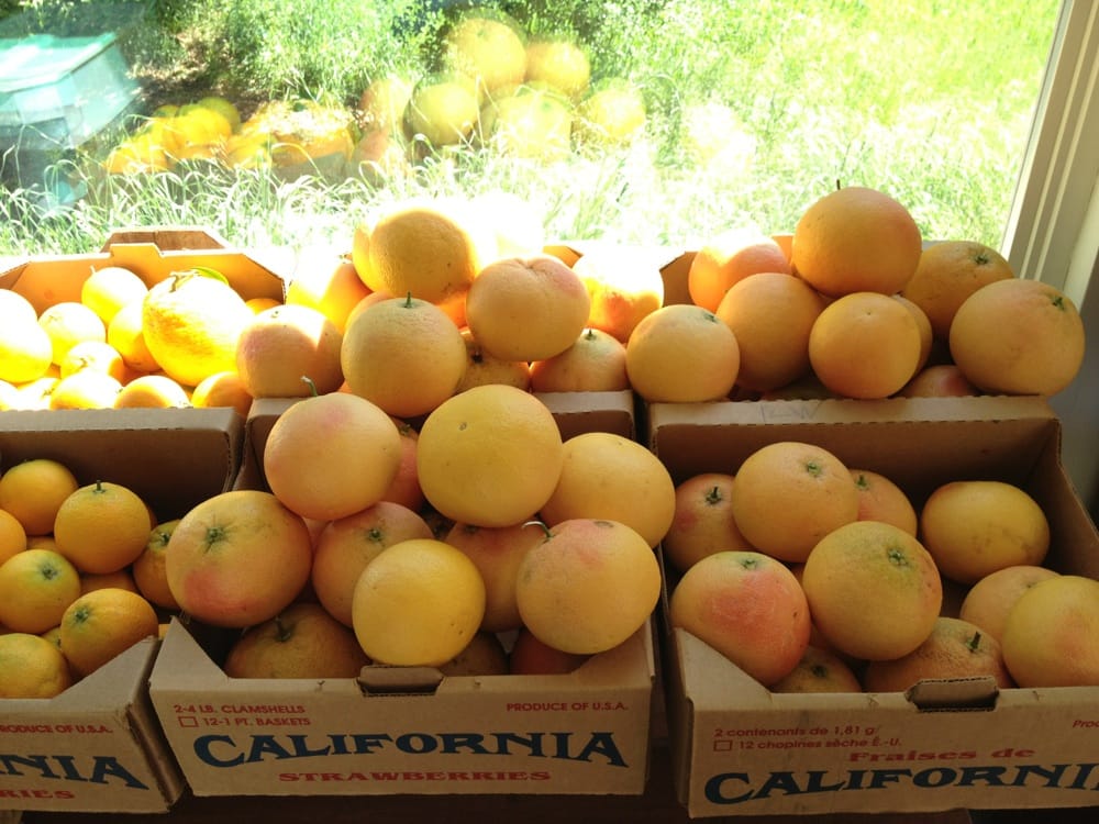 TOP NOTCH FRUIT AND PRODUCE - 1343 S Live Oak Park Rd, Fallbrook ...