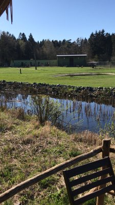 SERENGETI-PARK - Updated September 2025 - 1046 Photos & 106 Reviews ...