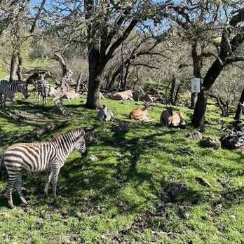 SAFARI WEST - Updated March 2025 - 3392 Photos & 1081 Reviews - 3115 ...