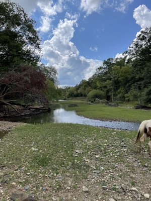 KIAMICHI RIVER TRAIL RIDES - Updated December 2025 - Talihina, Oklahoma ...