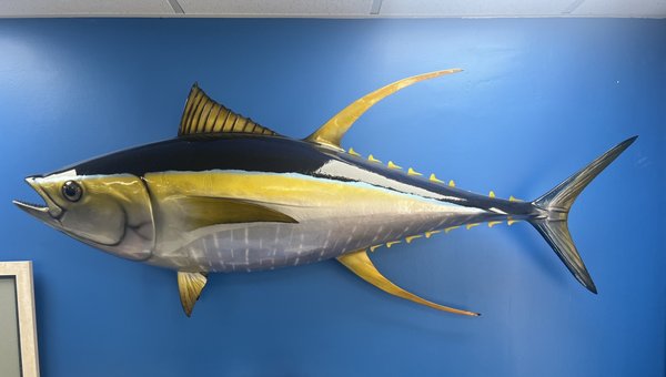 GRAY TAXIDERMY - 98 Photos & 122 Reviews - 712 NW 12th Ave, Pompano ...