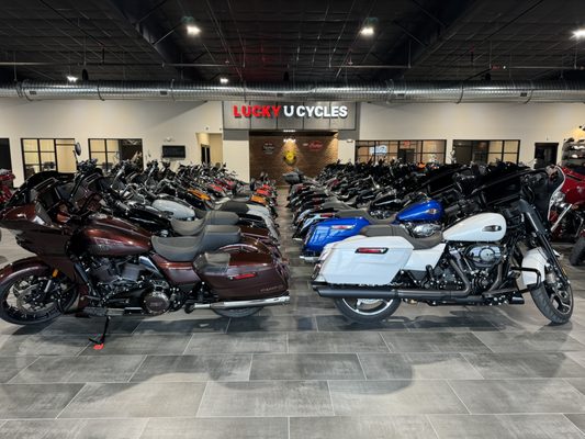 LUCKY U CYCLES - Updated January 2026 - 39 Photos & 39 Reviews - 9049 N ...