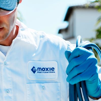 MOXIE PEST CONTROL - Updated October 2025 - 101 Photos & 477 Reviews ...