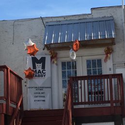 MAC TABBY CAT CAFE - Updated April 2026 - 344 Photos & 151 Reviews ...