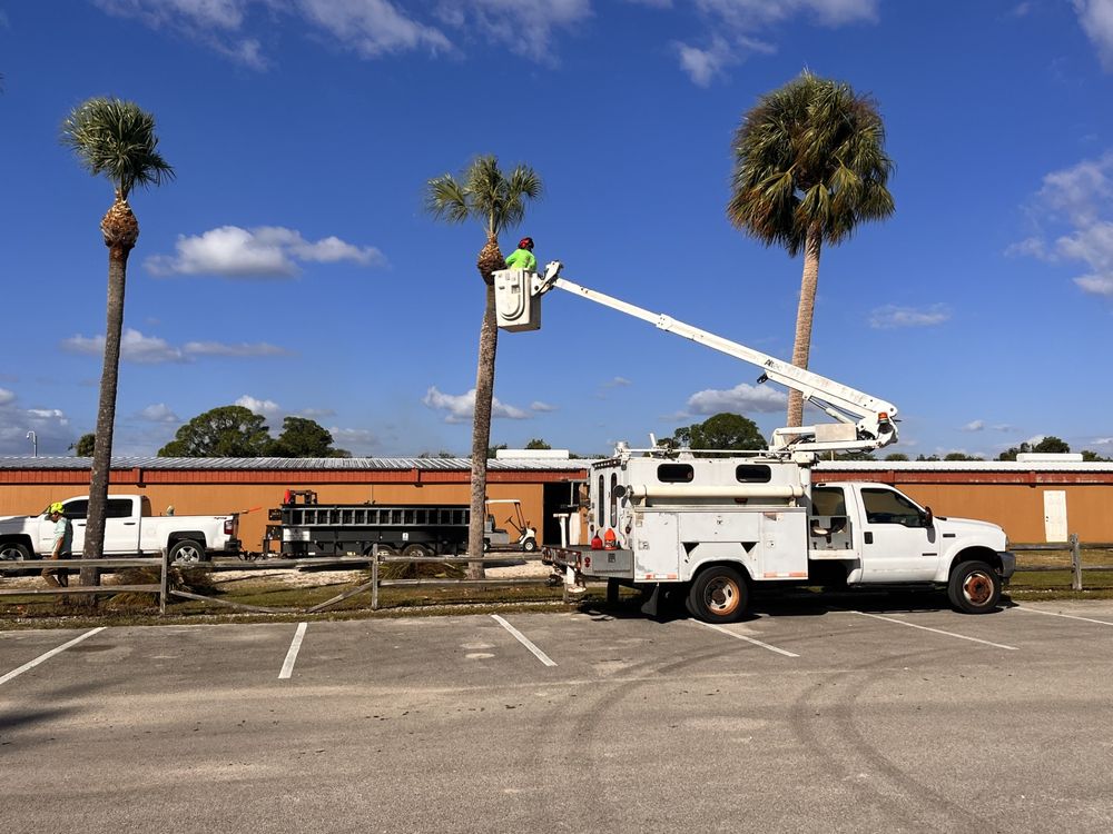 OCEANSIDE TREE SERVICE - Updated October 2025 - 14 Photos - 474 ...