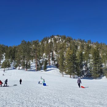 SPRING MOUNTAIN NATIONAL RECREATION AREA - Updated October 2025 - 337 ...