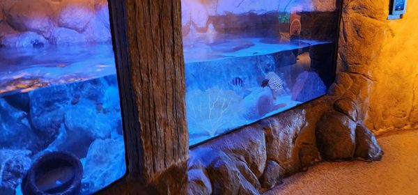 SEA LIFE ARIZONA AQUARIUM - 542 Photos & 329 Reviews - 5000 Arizona ...