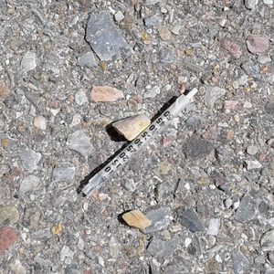 THE DOWNS AT ALBUQUERQUE RACETRACK AND CASINO - 45 Photos & 51 Reviews ...