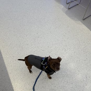 APPLE - NATICK - Updated December 2025 - 25 Photos & 130 Reviews - 1245 ...