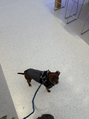 APPLE - NATICK - Updated December 2025 - 25 Photos & 130 Reviews - 1245 ...