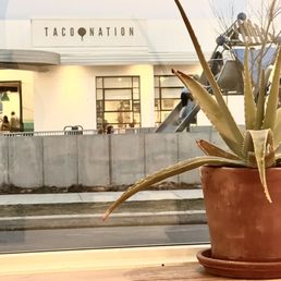 TACO NATION - Updated July 2025 - 257 Photos & 125 Reviews - 1741 ...