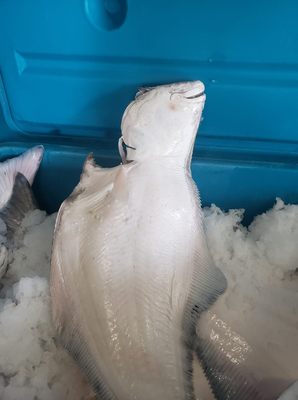 KERBY’S FISH - 11 Photos & 29 Reviews - 1420 West Side Hwy, Kelso ...