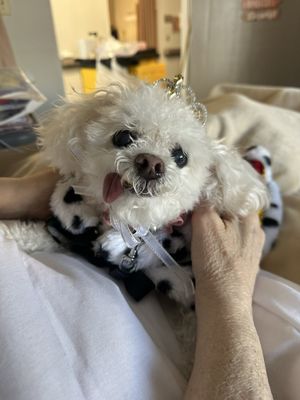 BELLFLOWER POST ACUTE - Updated January 2026 - 37 Photos & 41 Reviews ...