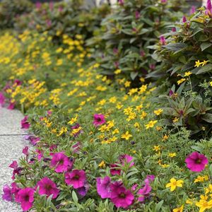 EINSTEIN CENTER ONE - Updated March 2025 - 12 Reviews - 9880 Bustleton ...