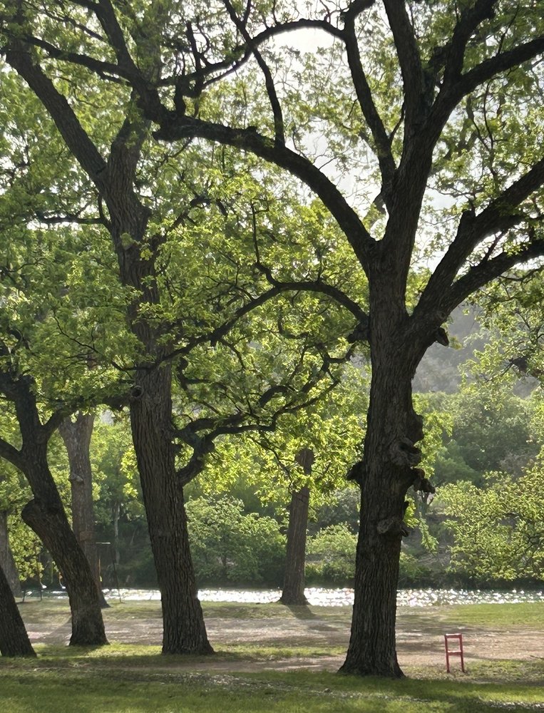 MORGAN SHADY PARK - Updated December 2025 - 21 Photos - 600 S 6th St ...