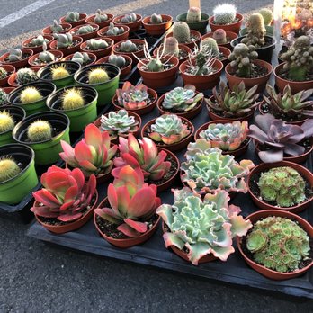 GOLDEN WEST COLLEGE SWAP MEET - Updated September 2025 - 446 Photos ...