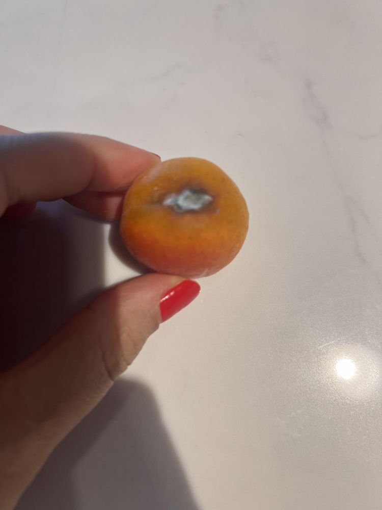 SAMI FRUITS - Updated October 2025 - 26 Photos & 10 Reviews - 8200 19E ...