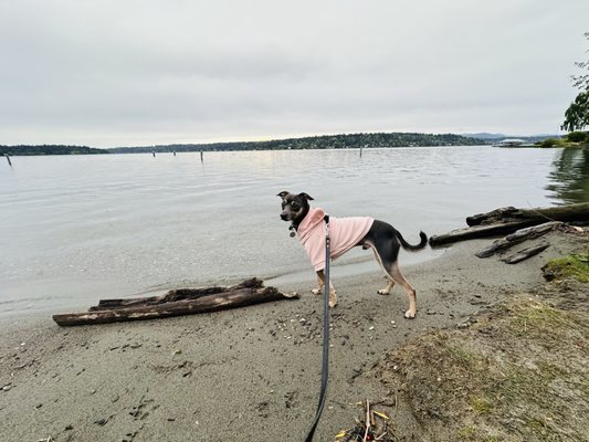 PRITCHARD ISLAND BEACH - Updated October 2025 - 28 Photos - 8400 55th ...