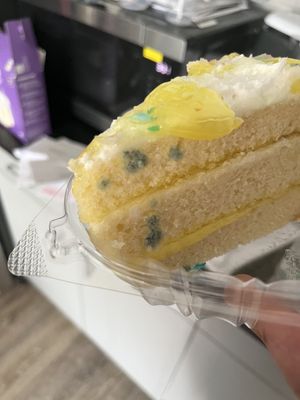 TASTEE PATTEE - Updated December 2025 - 18 Photos & 37 Reviews - 3122 ...