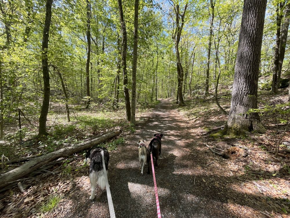 SHELTON DOG PARK - Updated May 2026 - 17 Photos - 320 Nells Rock Rd ...