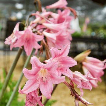 CRYSTAL BAY FARM - Updated September 2024 - 146 Photos & 64 Reviews ...