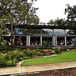 ZAMIA CAFE - Updated May 2025 - 51 Photos & 25 Reviews - 50 May Dr ...