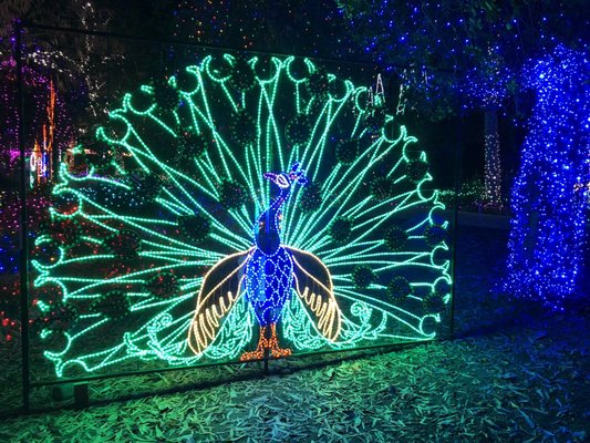 CALM ZOO - 500 Photos & 136 Reviews - 10500 Alfred Harrell Hwy ...