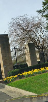 RESURRECTION CEMETERY - Updated January 2026 - 53 Photos - 18201 ...