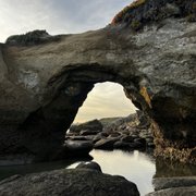 LIGHTHOUSE FIELD STATE BEACH - 490 Photos & 139 Reviews - 701 W Cliff ...