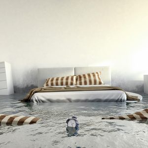 SCHAPER’S SUPPLY - Updated January 2026 - 17 Photos - 1550 Calcon Hook ...